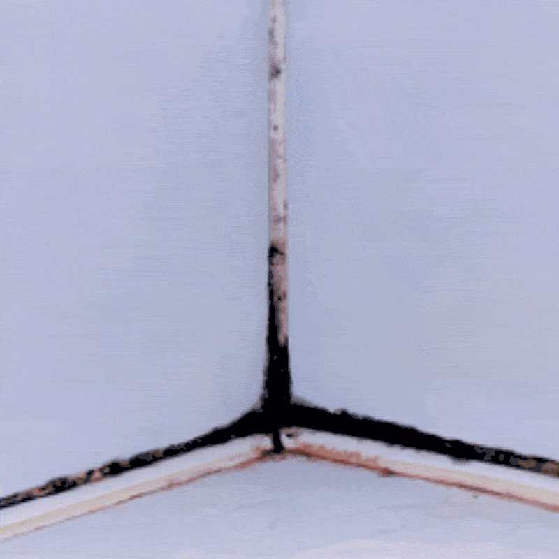 곰팡이제거제 > WG 곰팡이 제거젤 욕실 화장실 주방 실리콘 창틀 청소세제 200ml+틈세솔 세트 | 오늘의집 쇼핑